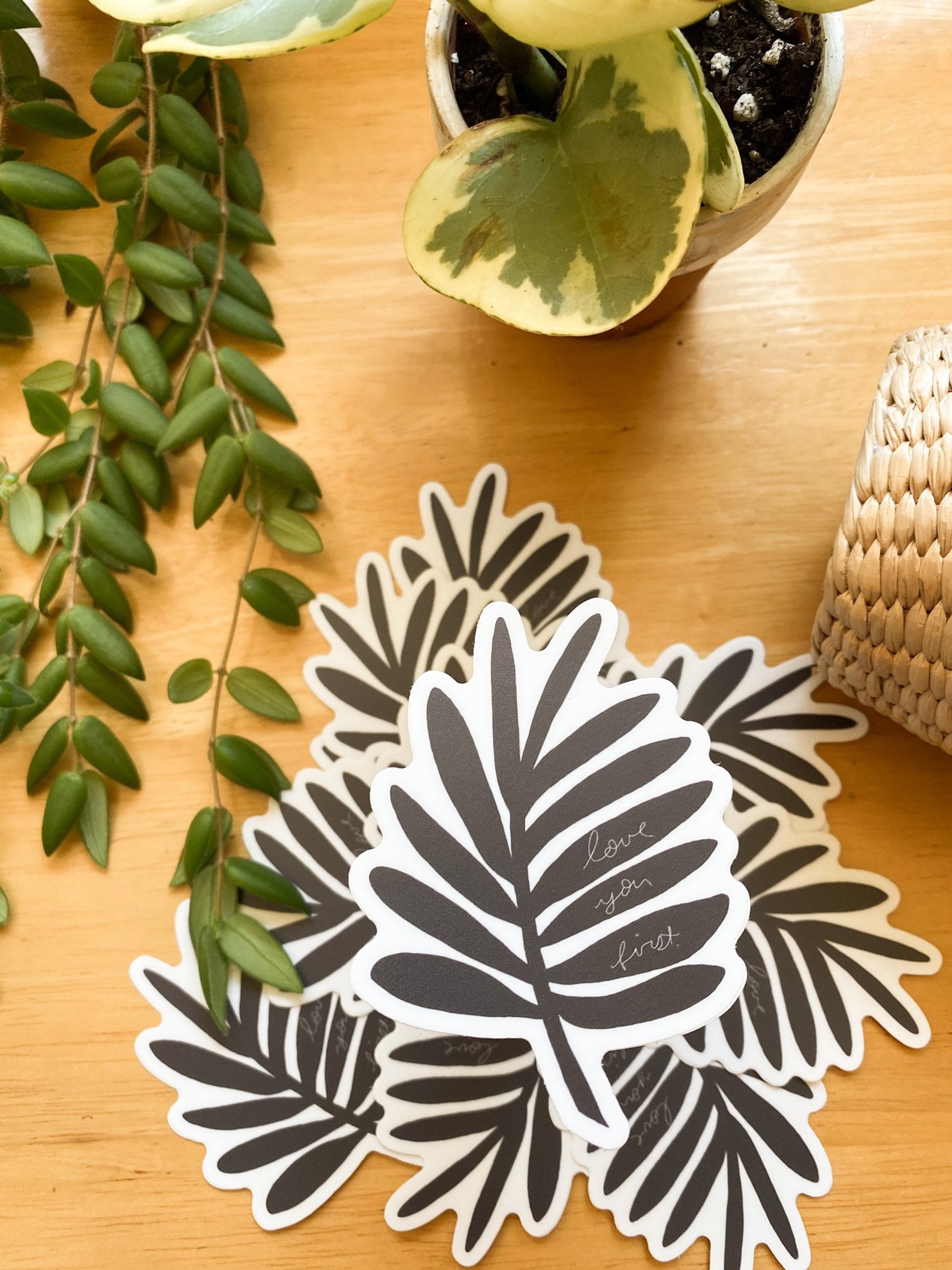 Minimal Fern Sticker Die Cut Plant Sticker Black Fern | Etsy