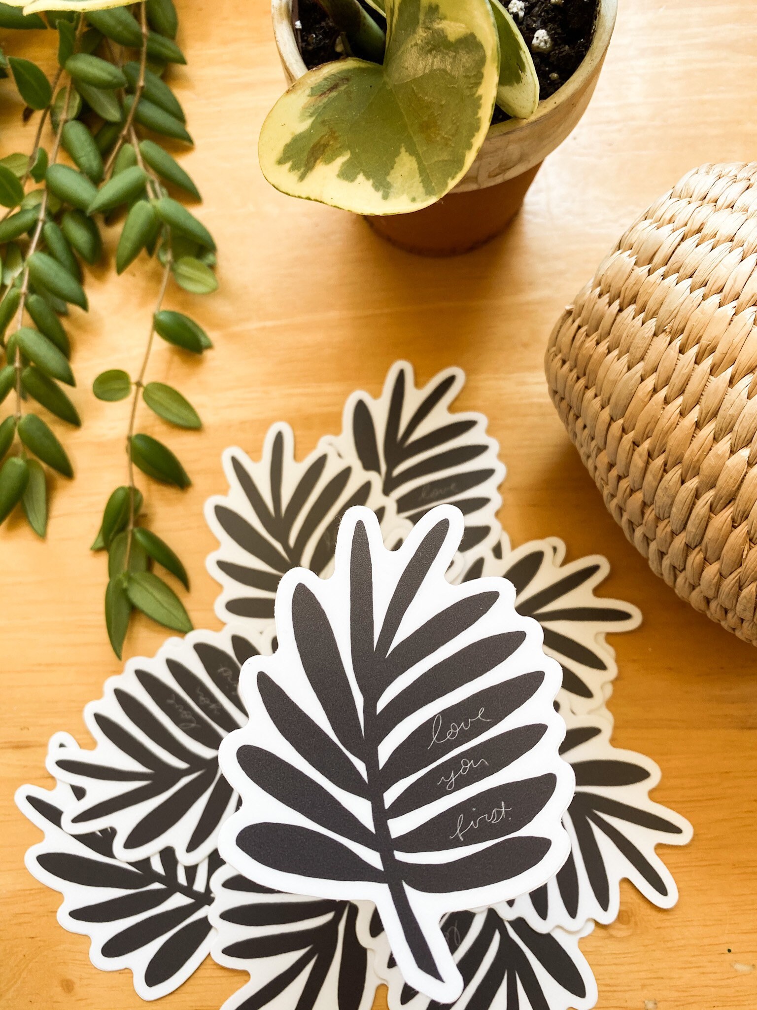 Minimal Fern Sticker Die Cut Plant Sticker Black Fern | Etsy