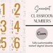 Succulent Number Posters for Classroom / Editable Canva Template ...