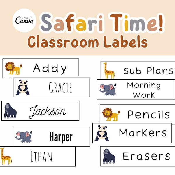 Zoo Safari Theme - Etsy