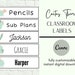 Editable Cactus Themed Name Tag Template / Cactus Classroom Theme ...