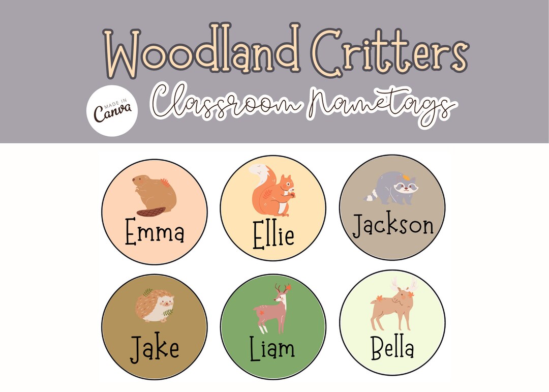Woodland Critters Door Displays / Woodland Themed Classroom / Classroom ...