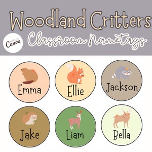Woodland Critters Door Displays / Woodland Themed Classroom / Classroom ...