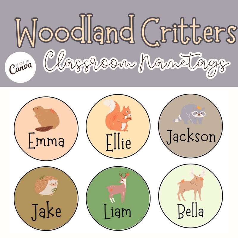Woodland Classroom Theme - Etsy