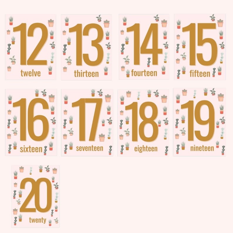 Succulent Number Posters for Classroom / Editable Canva Template ...
