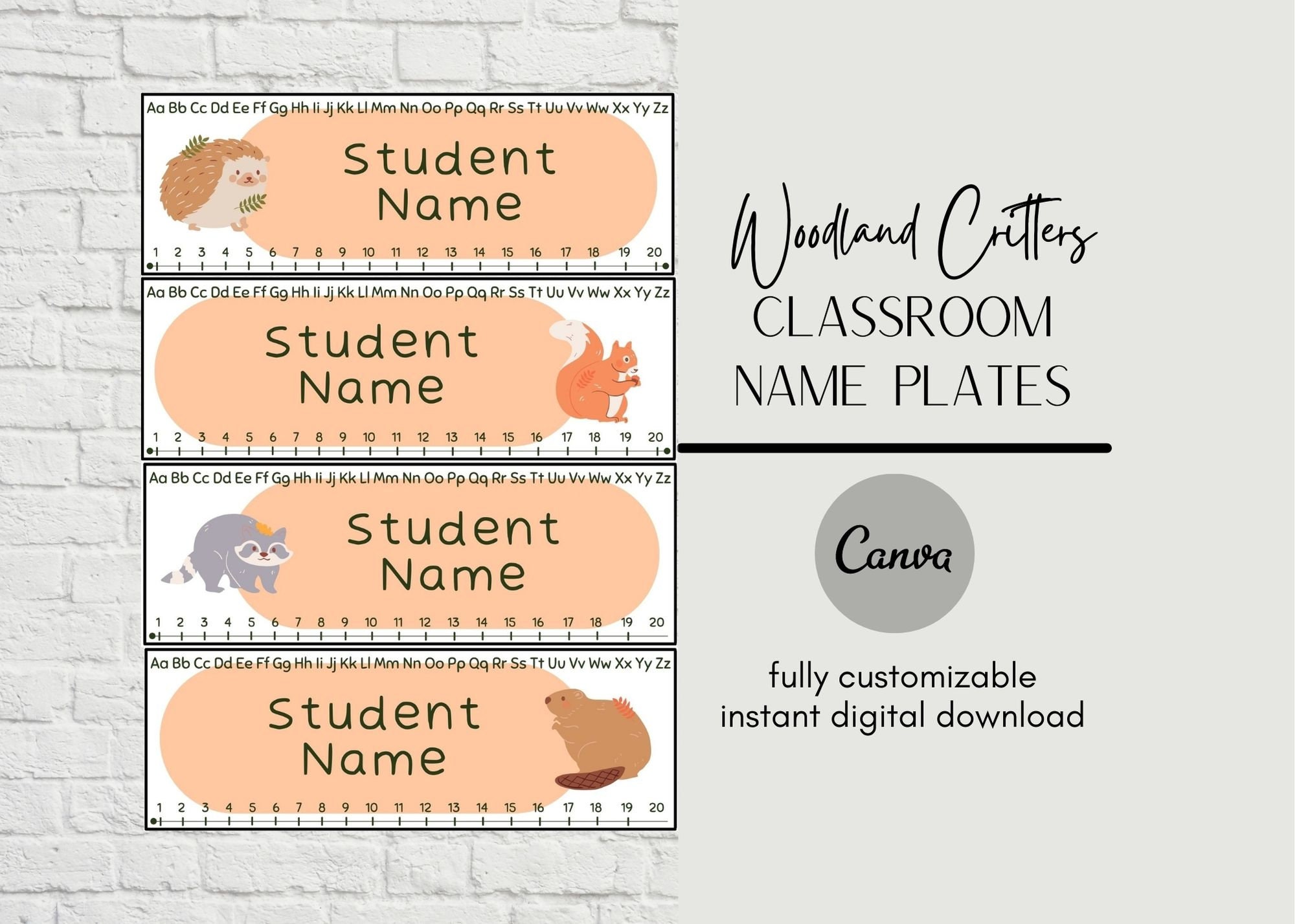 Woodland Critters Classroom Name Plates / Classroom Desk - Etsy