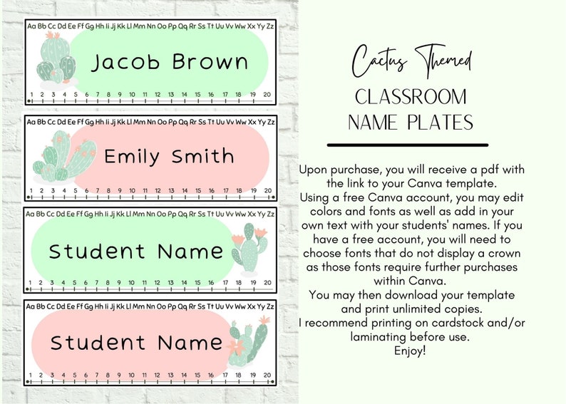 EDITABLE Cactus Themed Classroom Name Plates / Printable Name Tags for ...