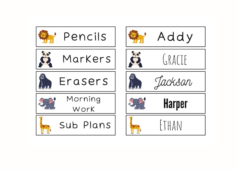 Safari Theme Classroom Organization Bundle / Zoo Name Tag Templates for ...