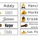 Camping Themed Classroom Editable Labels / Editable Name Tags for ...
