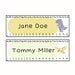 Dinosaur Classroom Editable Desk Name Plate Template / Customizable ...