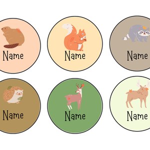 Woodland Critters Door Displays / Woodland Themed Classroom / Classroom ...