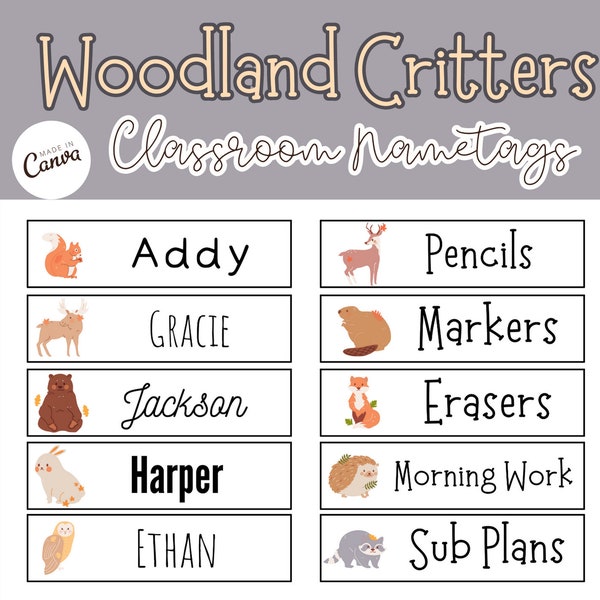 Woodland Classroom - Etsy