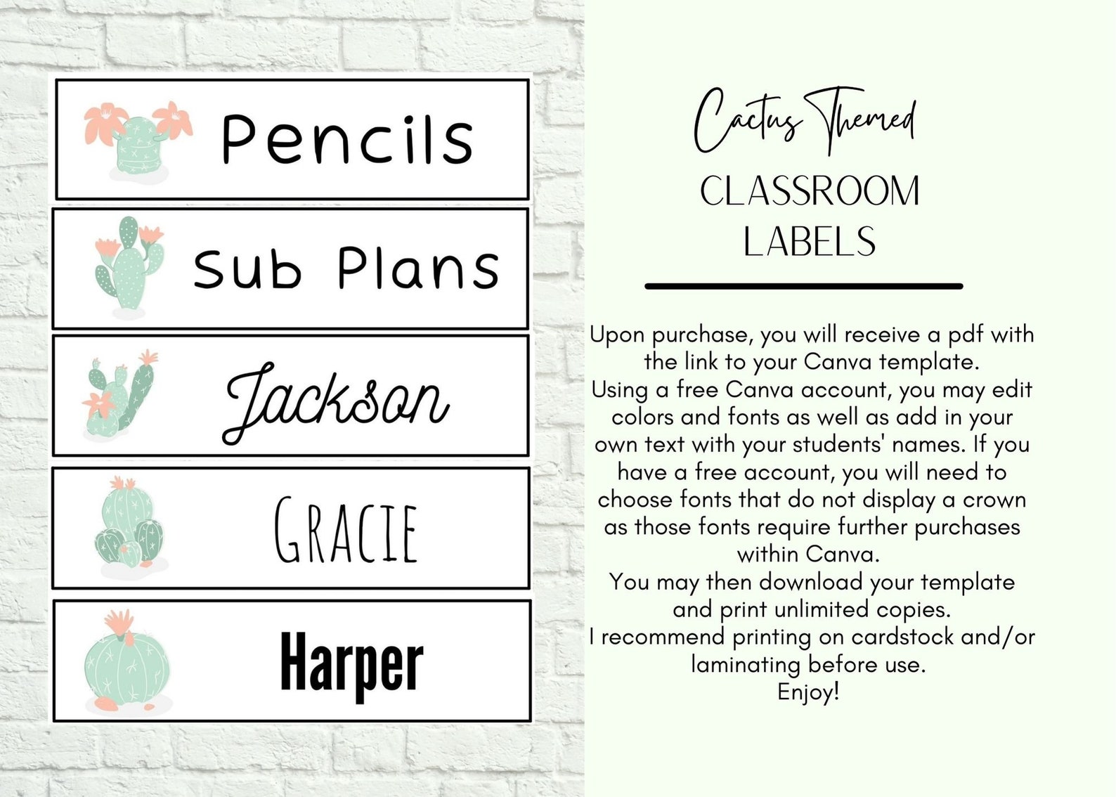 Editable Cactus Themed Name Tag Template / Cactus Classroom Theme ...