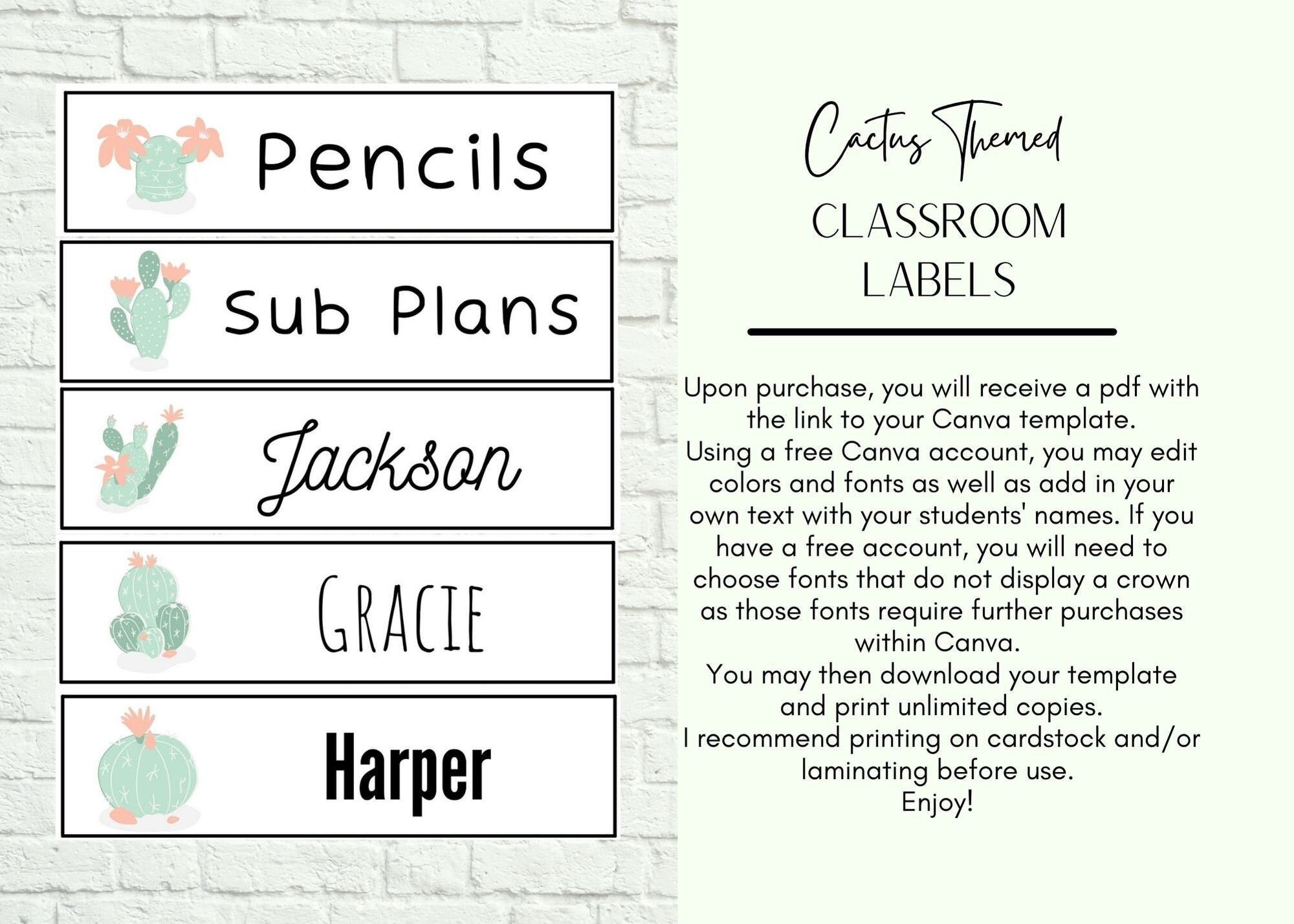 Editable Cactus Themed Name Tag Template / Cactus Classroom Theme ...