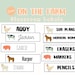 Editable Canva Template for Classroom / Printable Desk Labels / Neutral ...