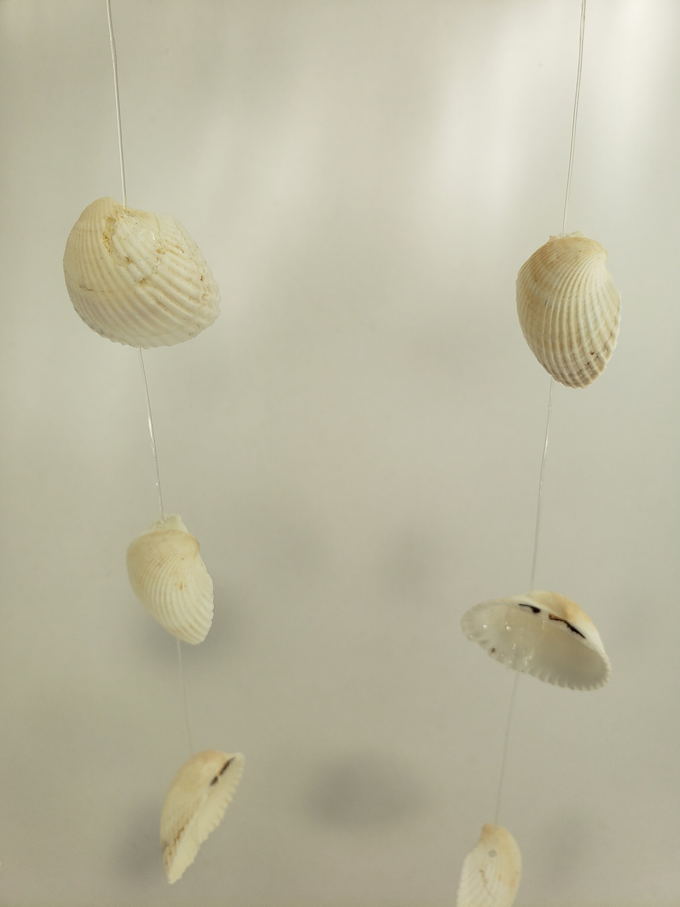 Handmade Driftwood and Sea Shell Mobile, Sea Shell Wall Art, Driftwood ...