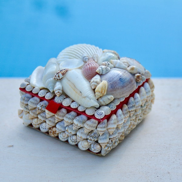 Sea Shell Box - Etsy