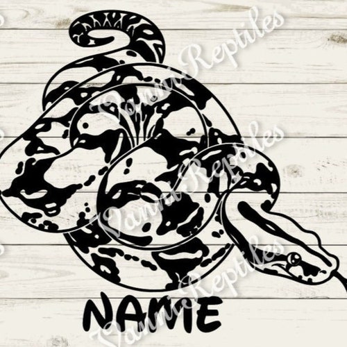 Boa Constrictor Custom Name Decal Reptile Tank Decal - Etsy