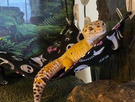 Small Reptile Hammock Gecko Hammock Padded Reptile Hammock - Etsy