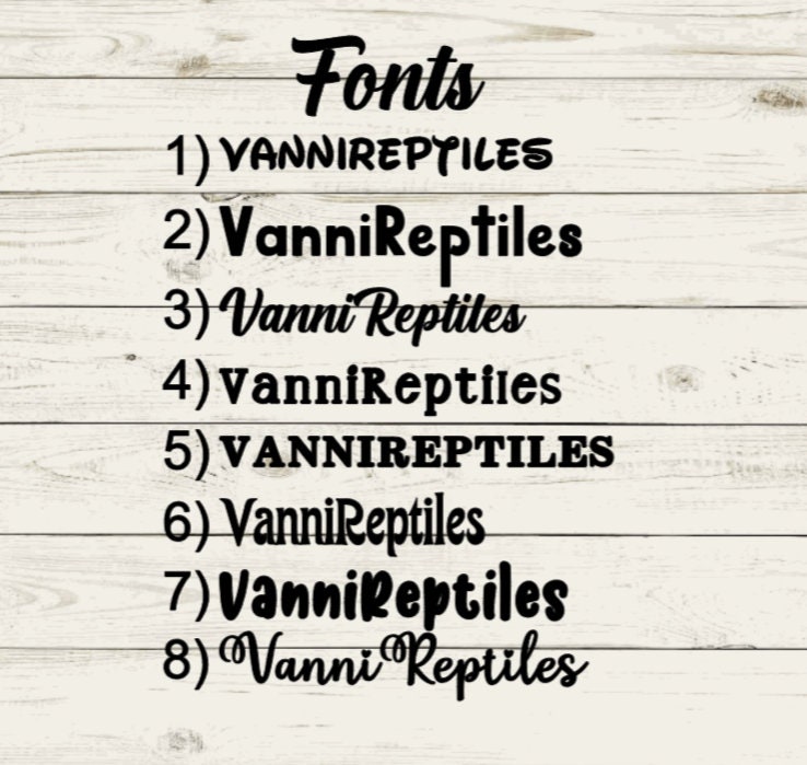 Ball Python Custom Name Decal | Etsy