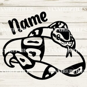 Ball Python Custom Name Decal Pied Ball Python - Etsy
