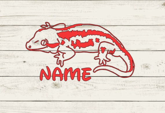 Gargoyle Gecko Custom Name Decal | Etsy