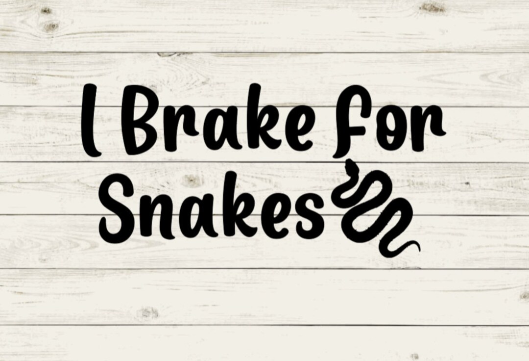 I Brake for Snakes Decal Vinyl Decal Car Decal Outdoot Decal Reptile ...