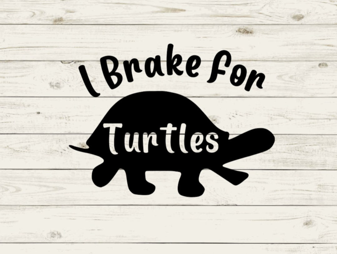 I Brake for Turtles Decal | Vinyl Decal | Car Decal | Outdoot Decal ...