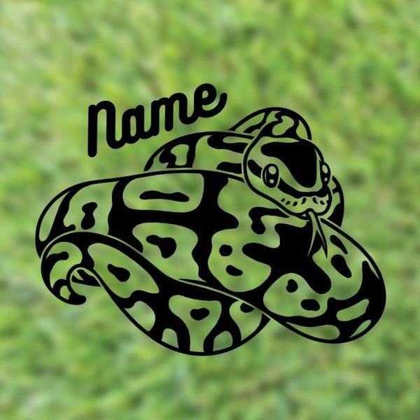 Ball Python - Etsy