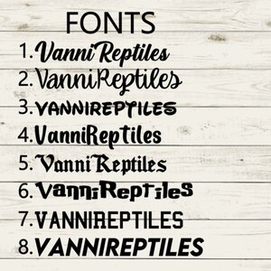 Ball Python Custom Name Decal | Pied Ball Python - Etsy