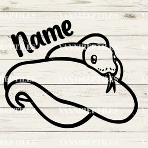 Ball Python Custom Name Decal Pied Ball Python - Etsy