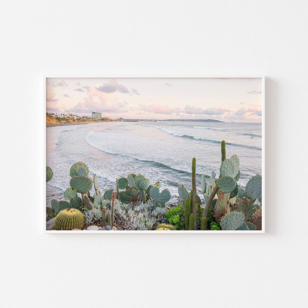 San Diego Bird Rock Ocean View Print, Cactus Succulents, Coastal Decor ...