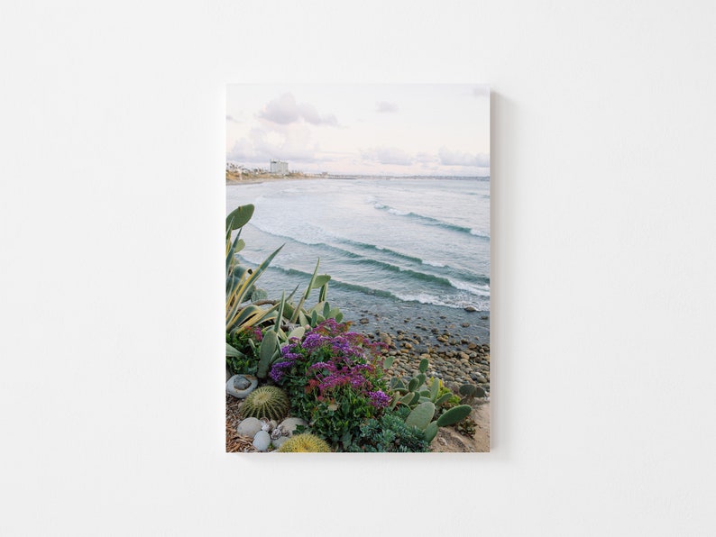 Bird Rock San Diego Print, Coastal Cactus Photography - Etsy