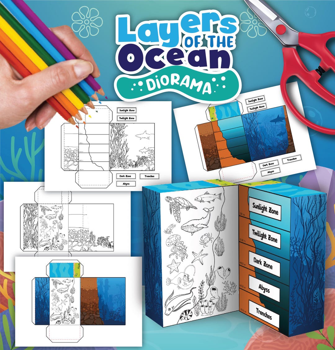 3D Ocean Layers Diorama Craft | Printable Science Project (digital ...