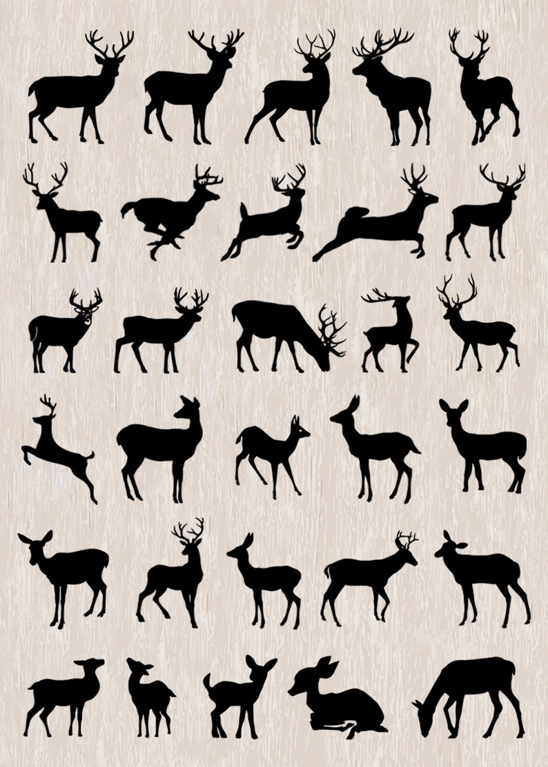 80 Deer SVG Bundle Deer Hunting SVG Deer Png Deer Vector - Etsy