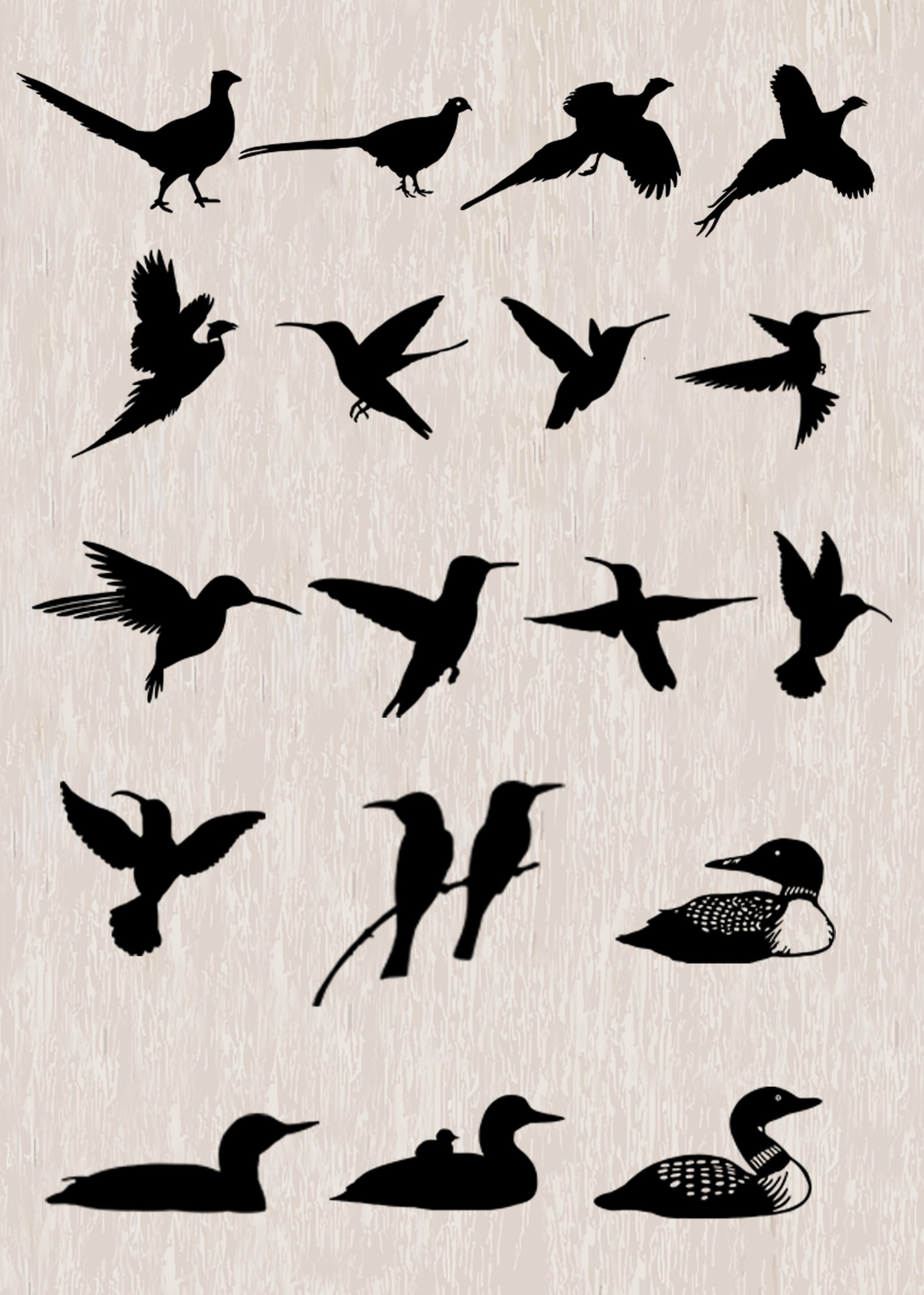 110 Wild Bird Svg Bundle North American Birds Svgsvg - Etsy
