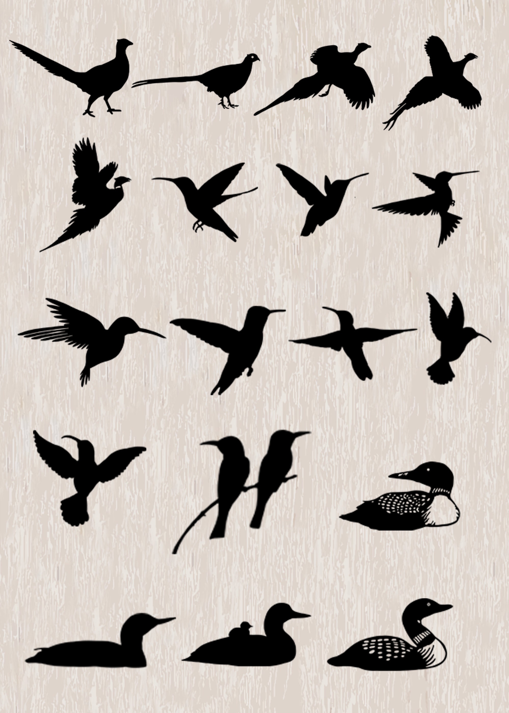 110 Wild Bird Svg Bundle North American Birds Svgsvg - Etsy
