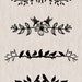 Corner Floral Frame Bundle SVG, Bird Frame Border Svg, Floral Borders ...