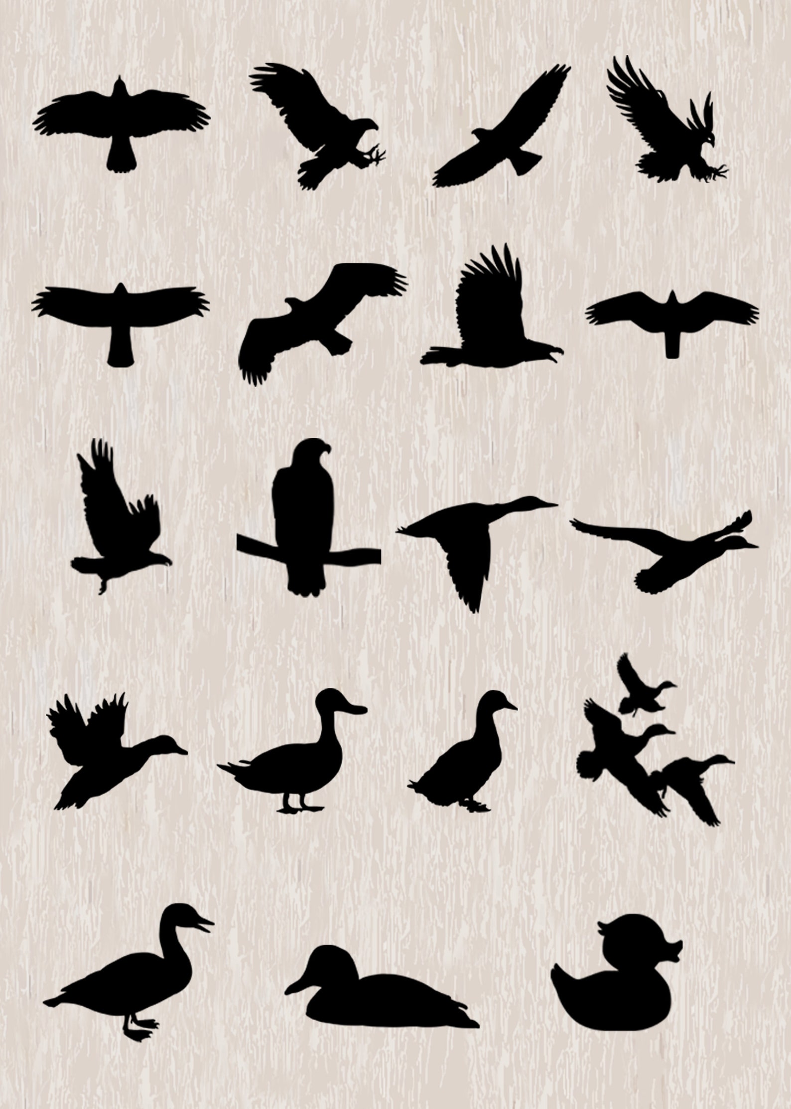 110 Wild Bird Svg Bundle North American Birds Svgsvg - Etsy