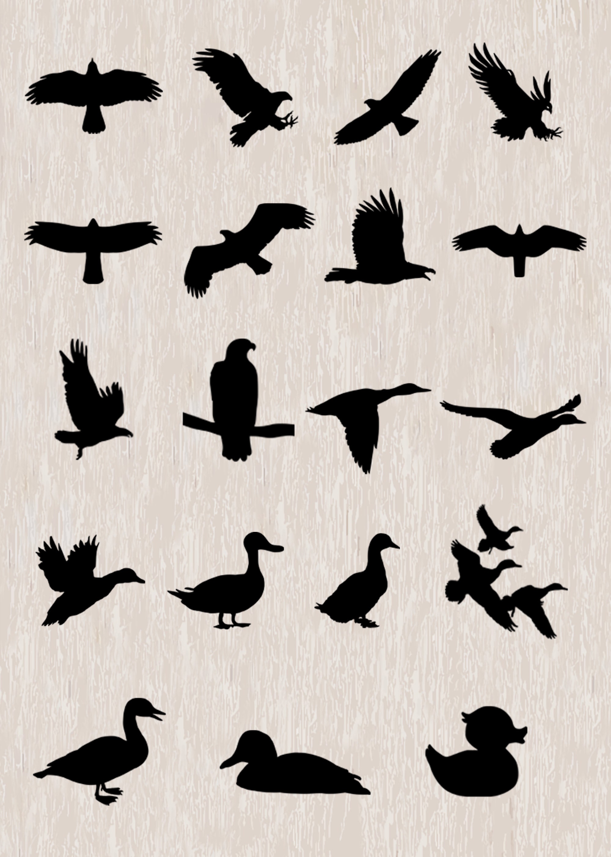 110 Wild Bird Svg Bundle North American Birds Svgsvg - Etsy