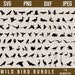 110 Wild Bird Svg Bundle North American Birds Svgsvg - Etsy