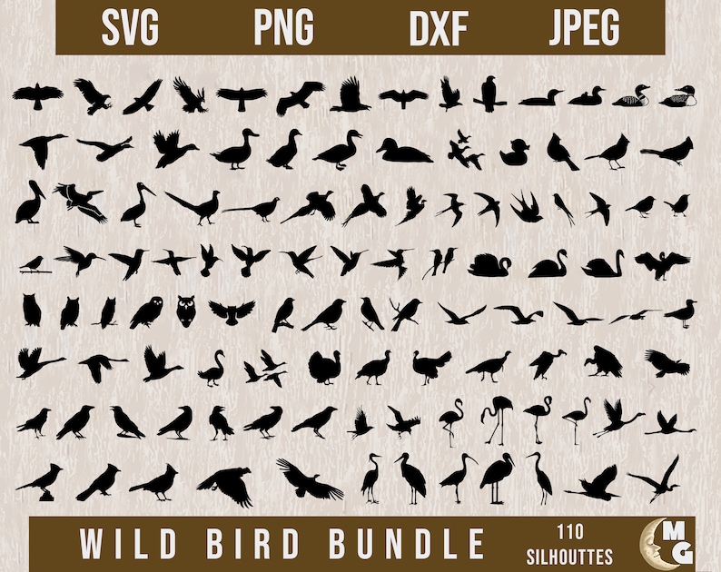 110 Wild Bird Svg Bundle North American Birds Svgsvg - Etsy