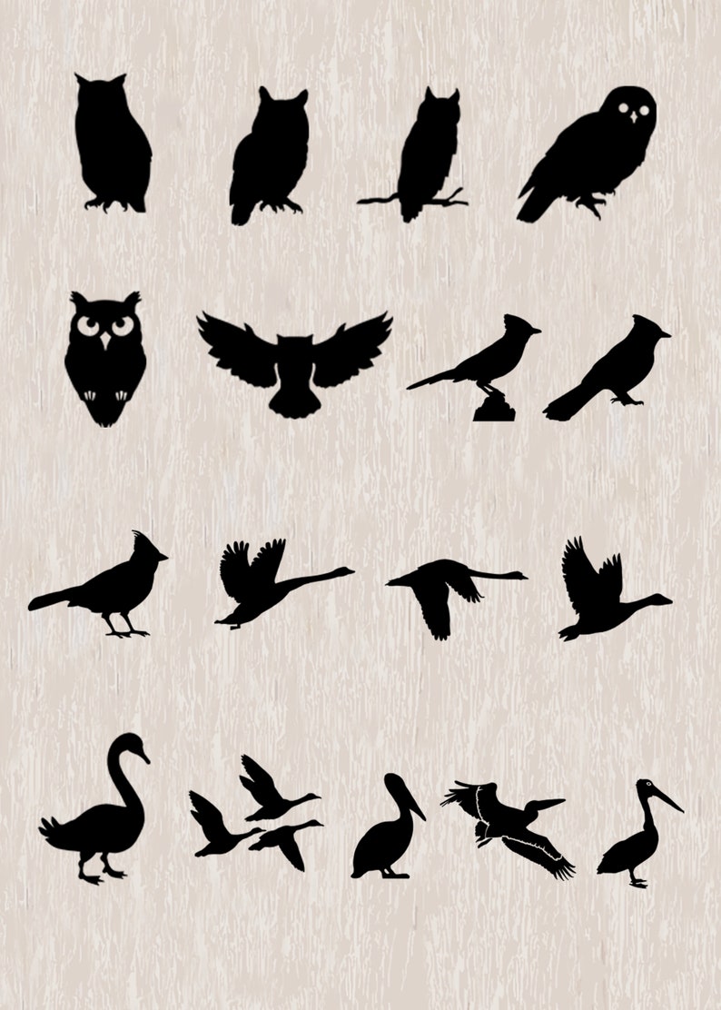 110 Wild Bird Svg Bundle North American Birds Svgsvg - Etsy