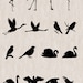 110 Wild Bird Svg Bundle North American Birds Svgsvg - Etsy