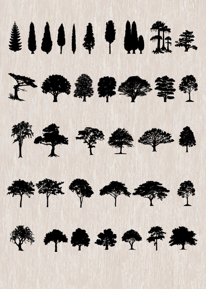Tree SVG Bundle, Tree Silhouette Svg, Tree SVG, Trees Svg,forest Svg ...
