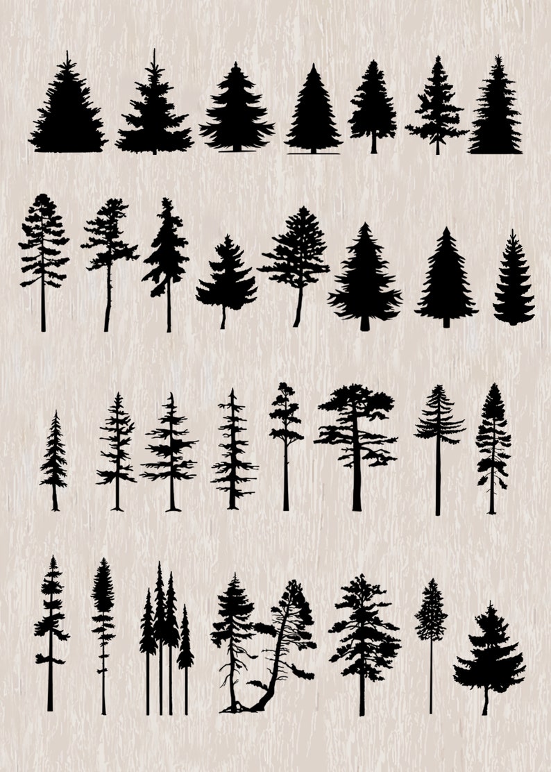Tree SVG Bundle, Tree Silhouette Svg, Tree SVG, Trees Svg,forest Svg ...