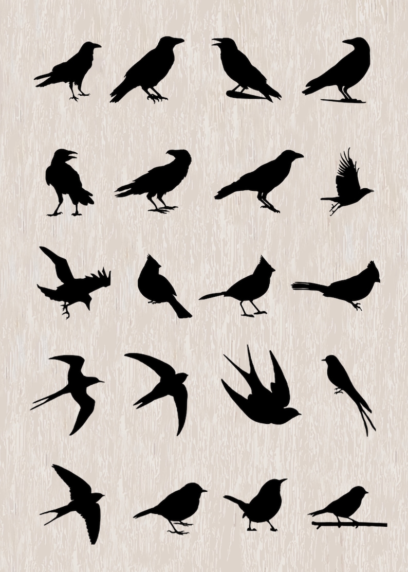 110 Wild Bird Svg Bundle North American Birds Svgsvg - Etsy