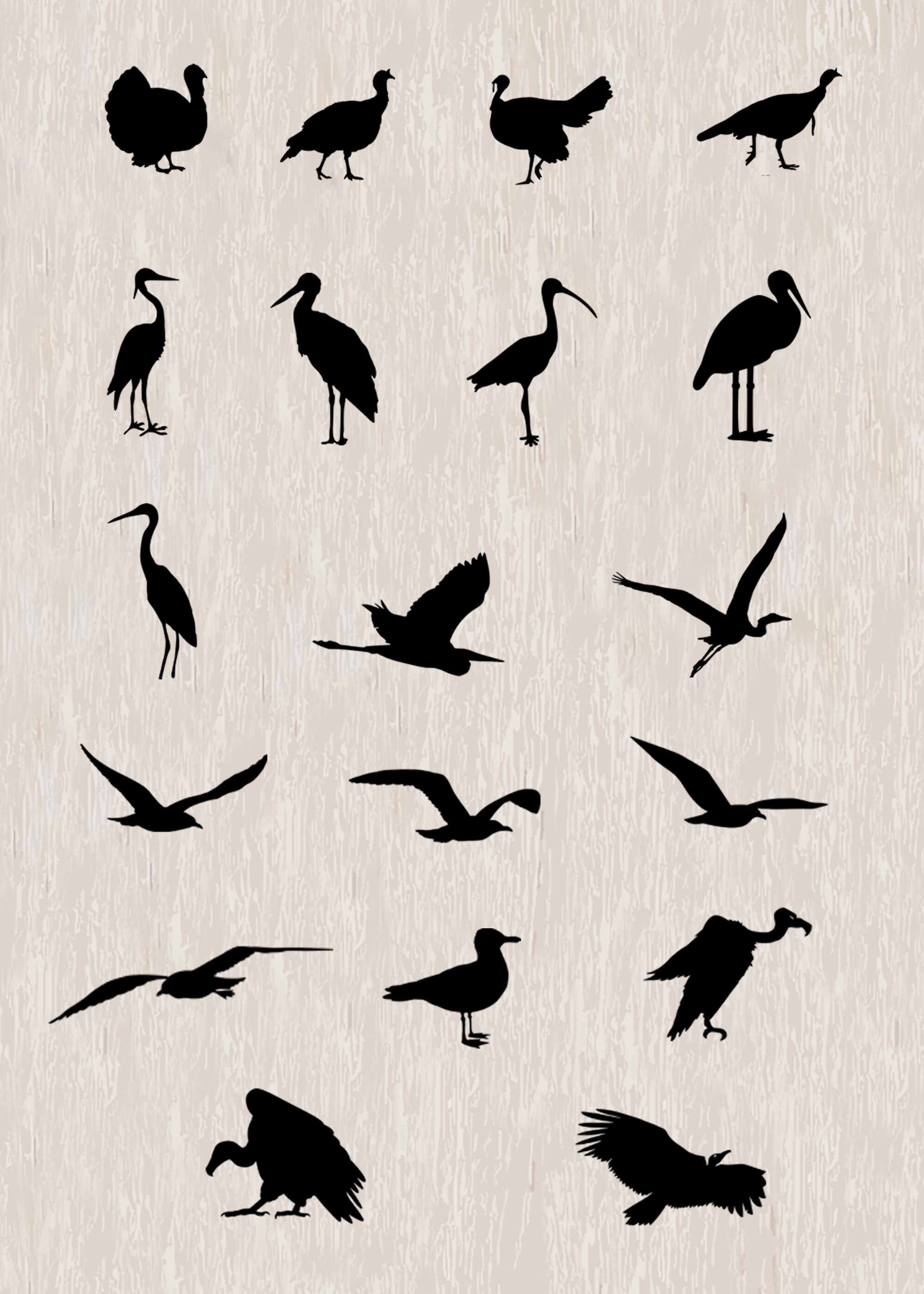 110 Wild Bird Svg Bundle North American Birds Svgsvg - Etsy