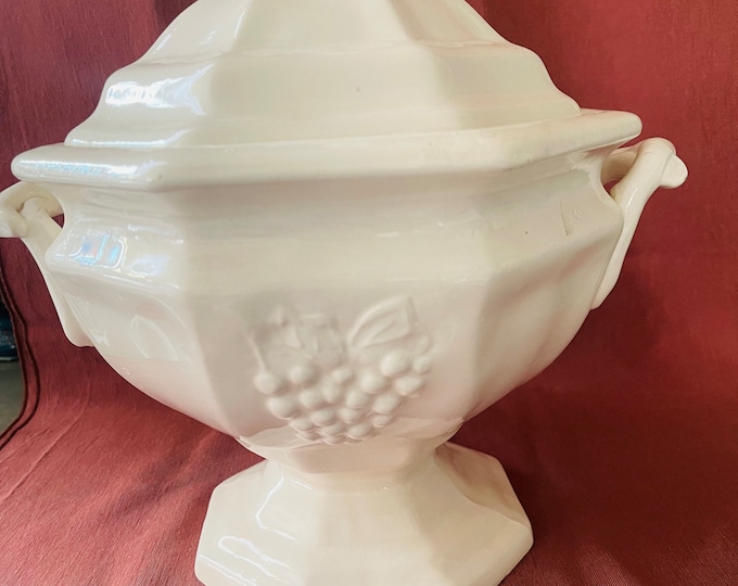 Large Antique White Ironstone Tureen St Amand Hamage, French Ironstone ...