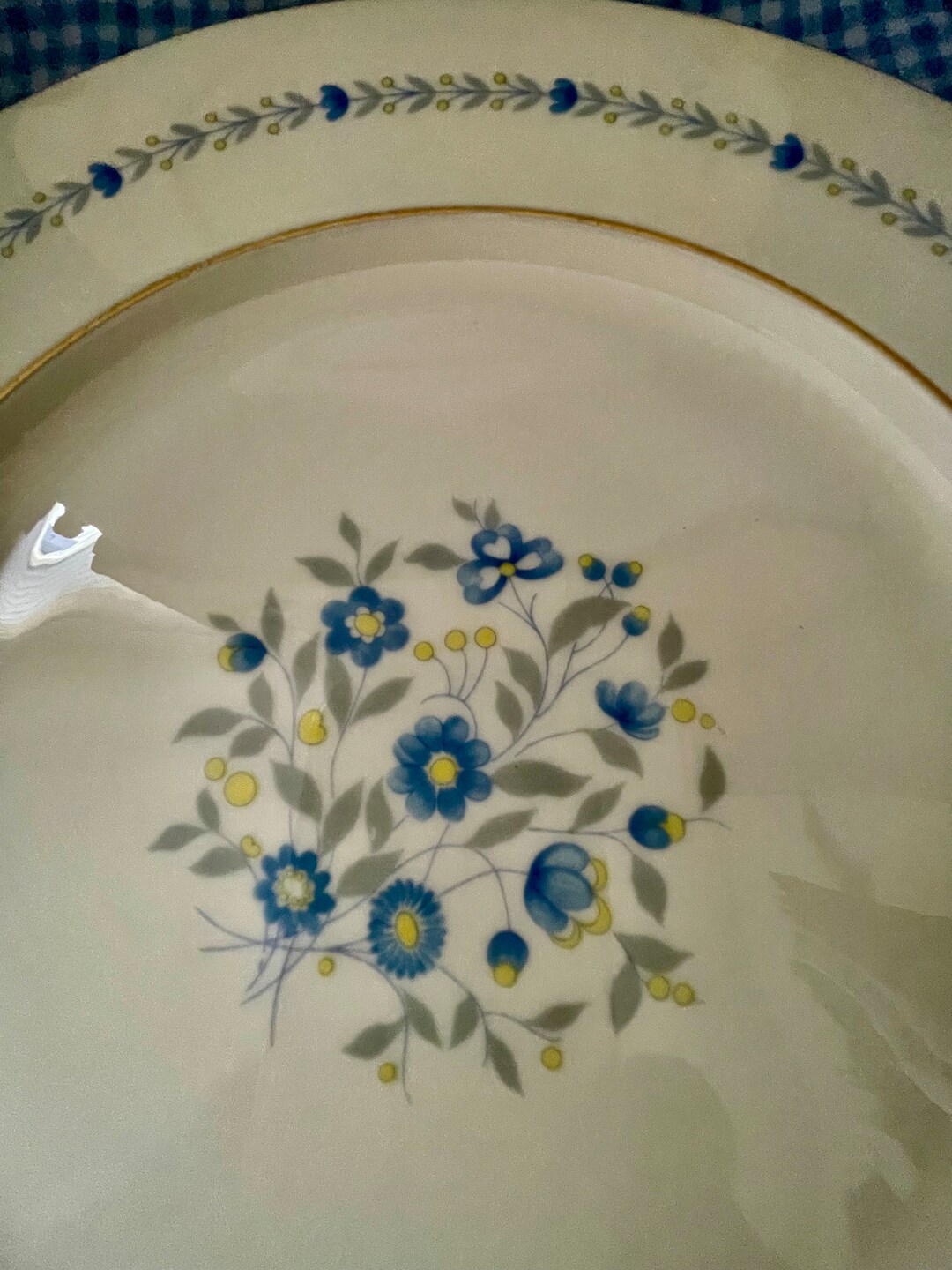 Set of 8 Gorgeous Dinner Plates by Castleton in the Devon Pattern. - Etsy
